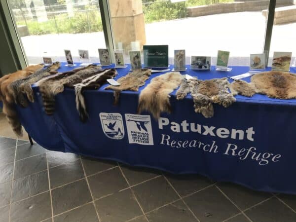 Hike Patuxent Research Refuge, South Tract— Park Spotlight - Chesapeake ...