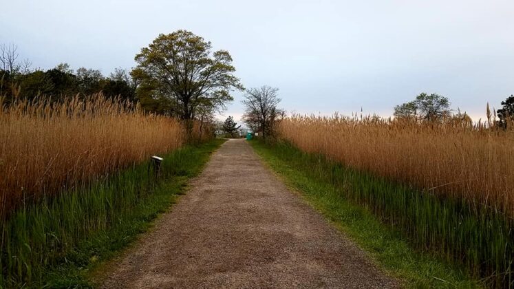 Discover Incredible Views at Terrapin Nature Park - Chesapeake Family