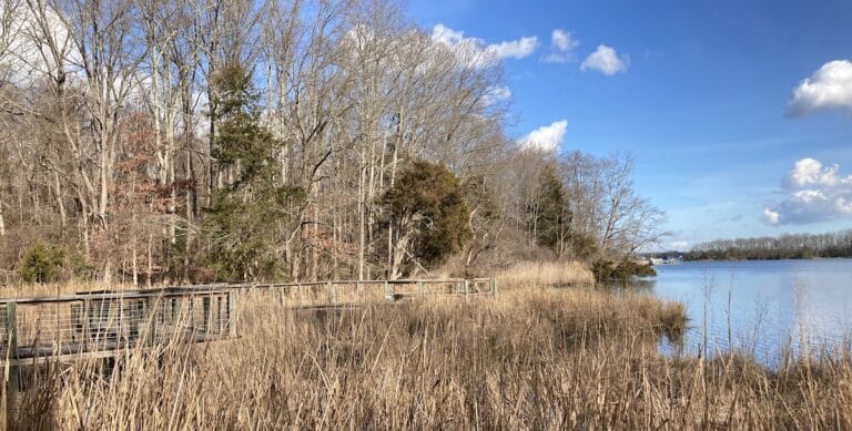 Exploring Nature and History— Edgewater's Smithsonian Environmental ...