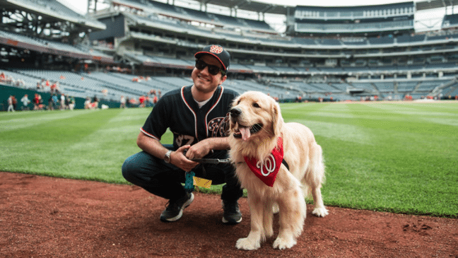 Batter Up, Bark Up: Enjoying MLB Games with Your Four-Legged Friends ...