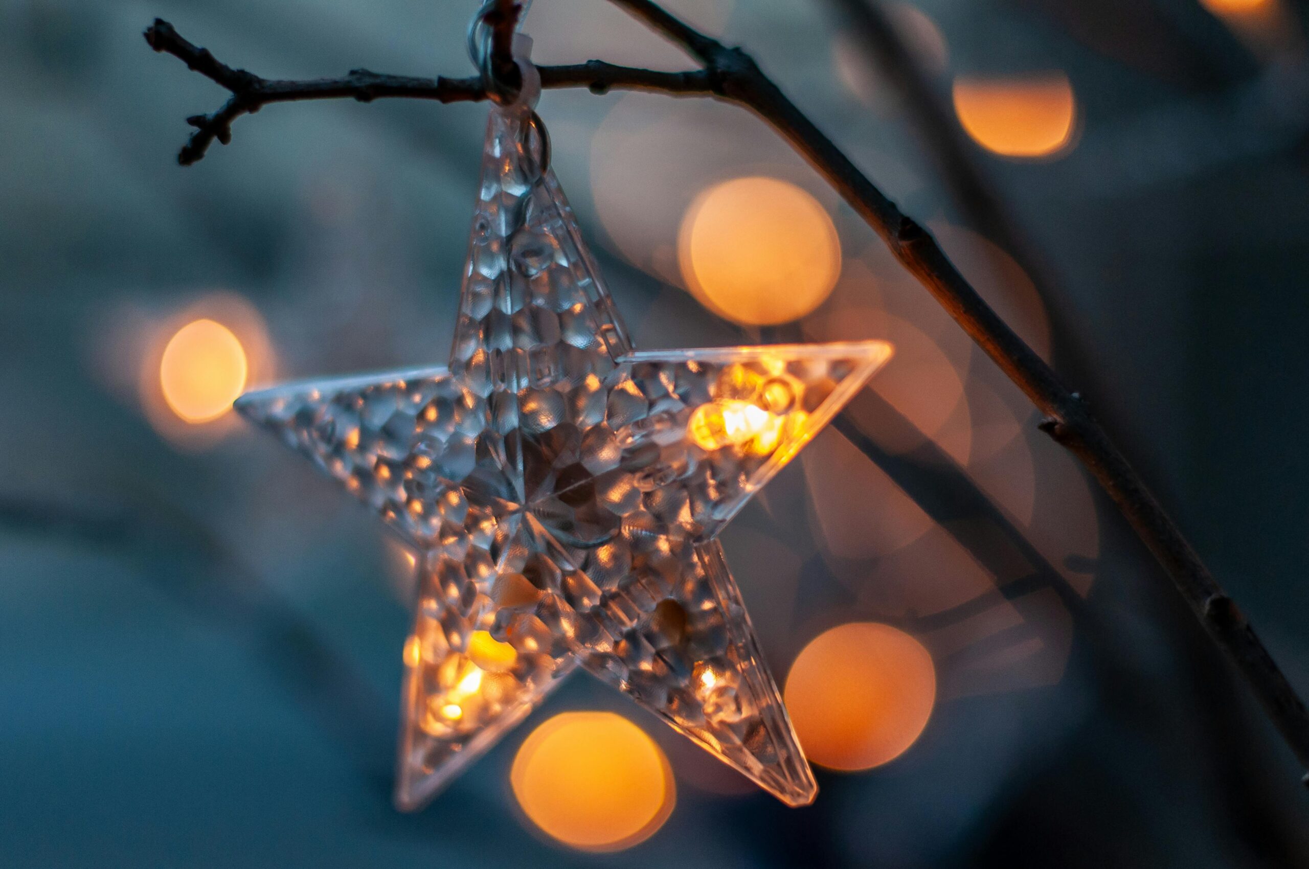 Twinkle, Twinkle, Little Star: Holiday Light Displays in December